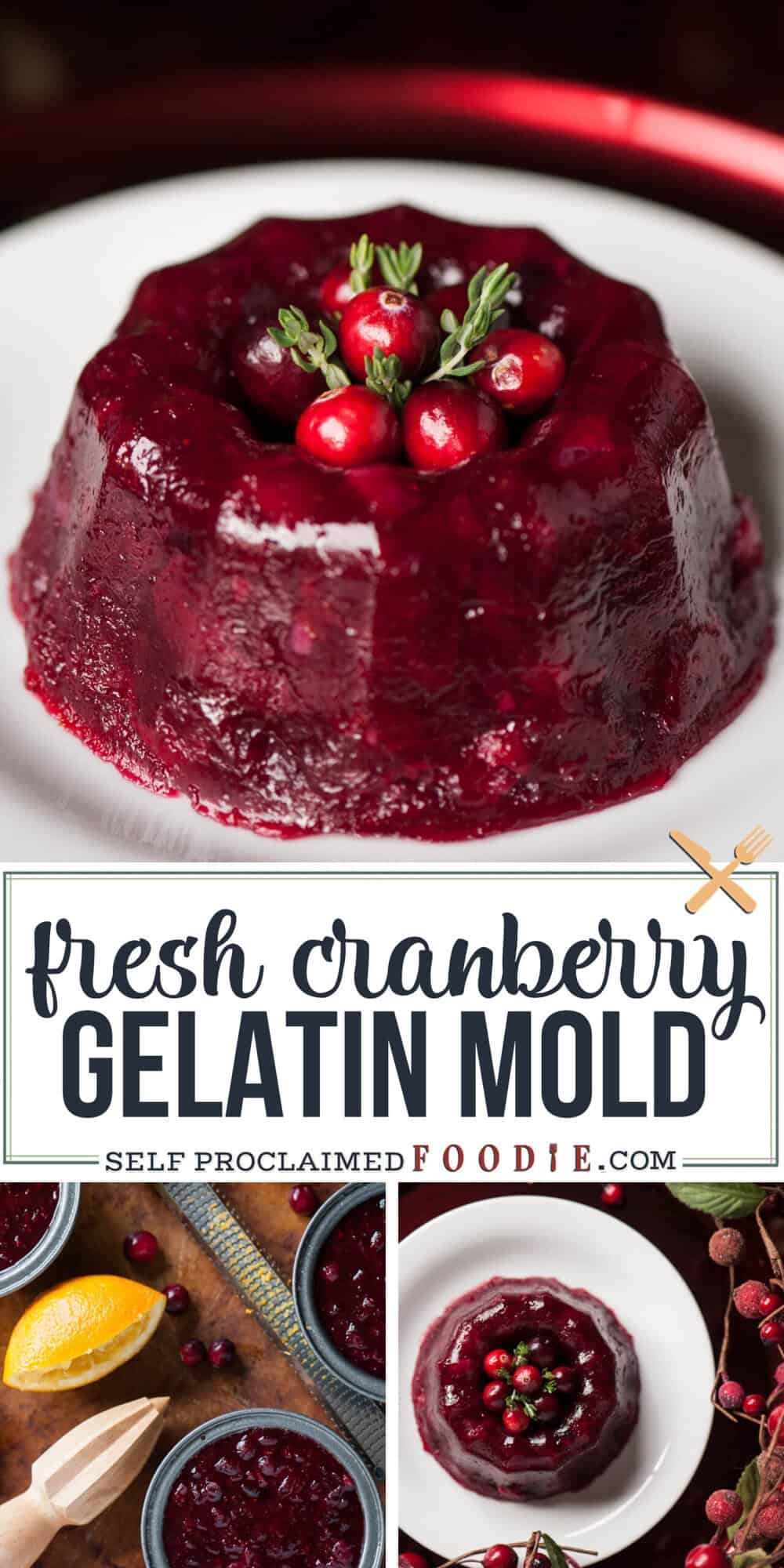 Fresh Cranberry Gelatin Mold - Self Proclaimed Foodie
