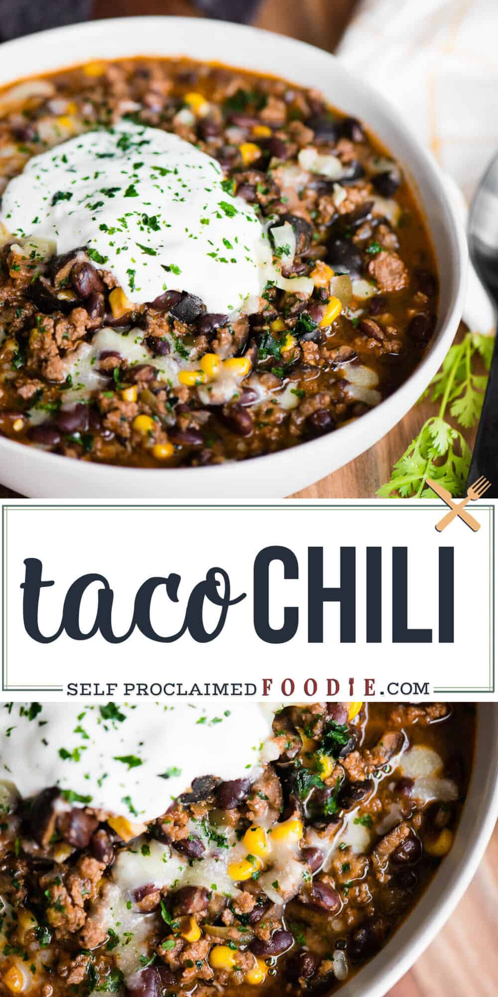Taco Chili - Self Proclaimed Foodie