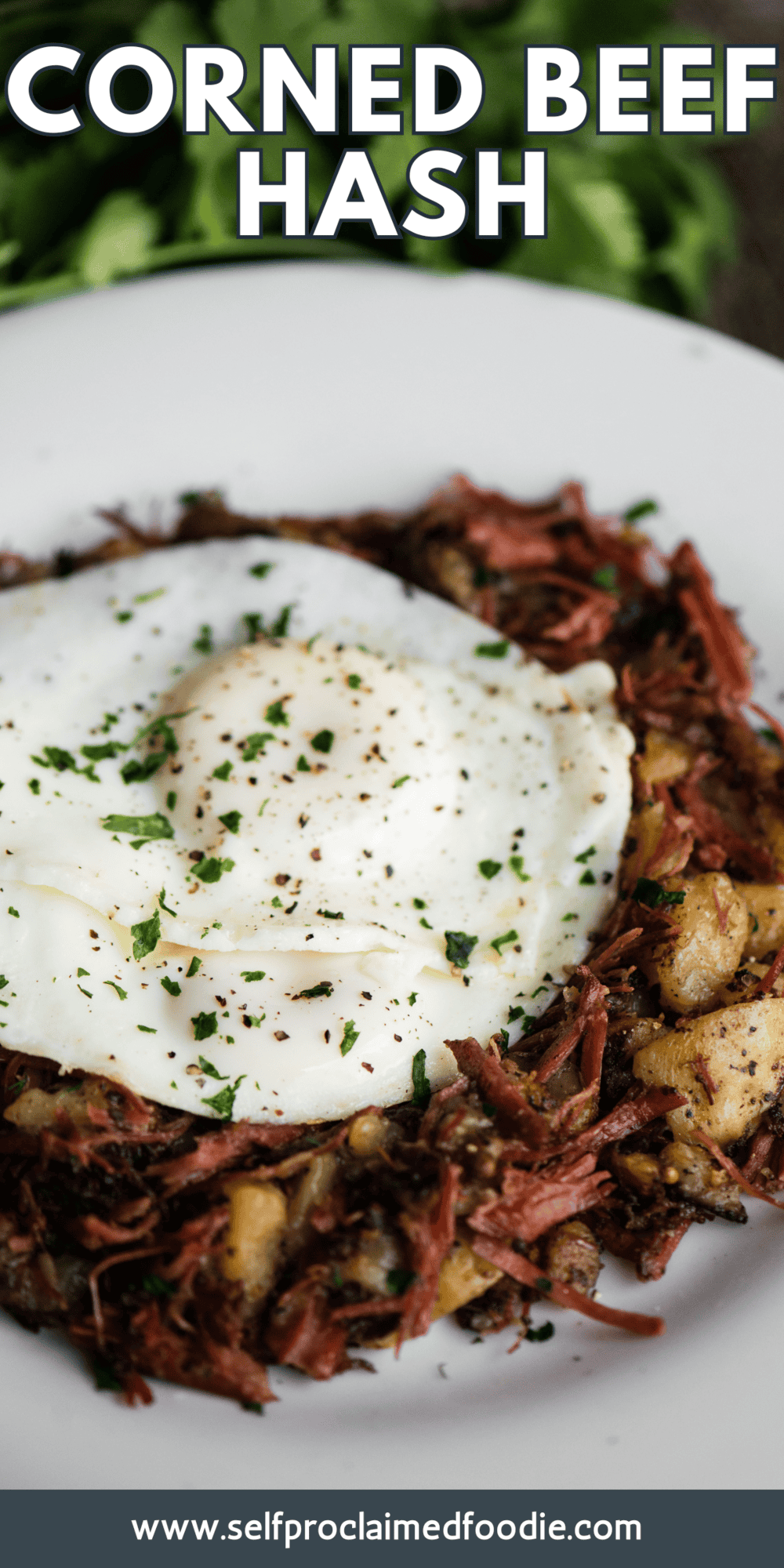 Corned Beef Hash - Self Proclaimed Foodie