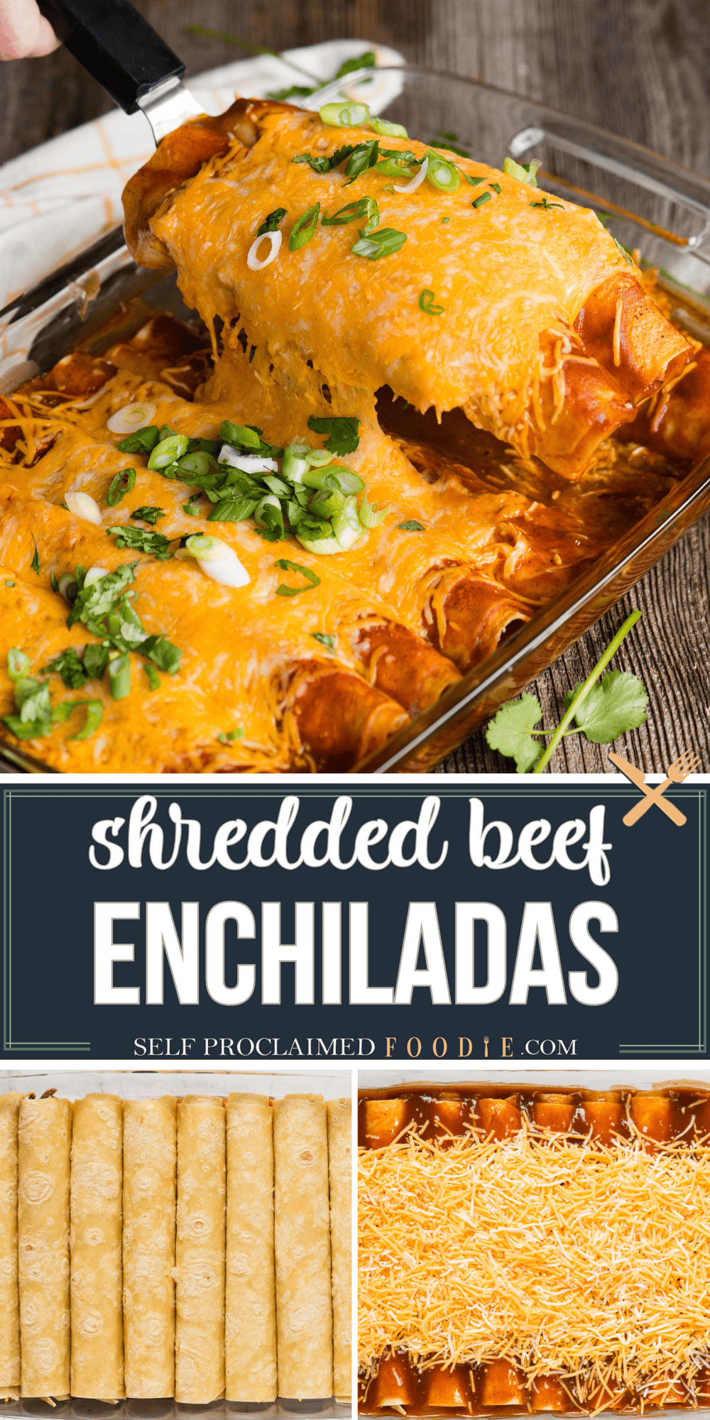 Shredded Beef Enchiladas - Self Proclaimed Foodie