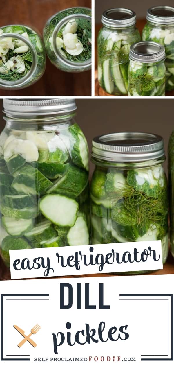 Easy Refrigerator Dill Pickles - Self Proclaimed Foodie Easy Refrigerator Dill Pickles - Self Proclaimed Foodie