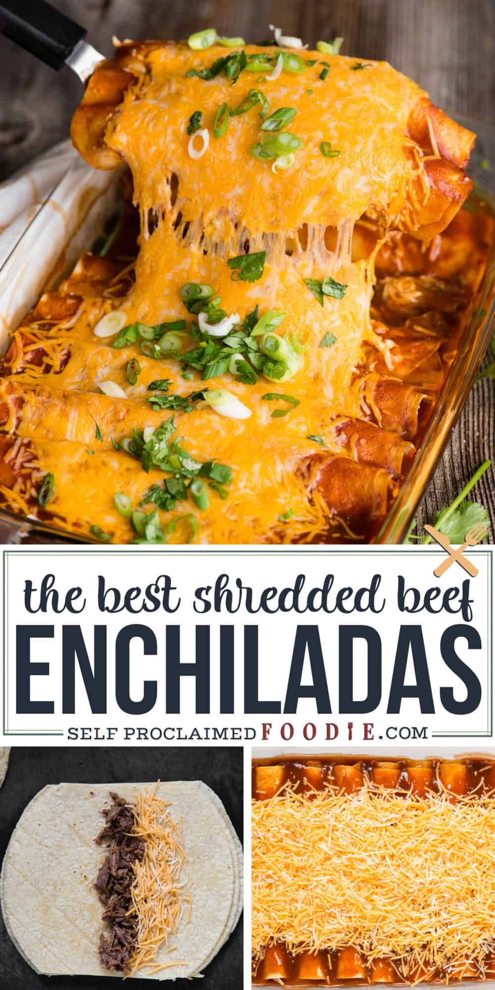 Shredded Beef Enchiladas - Self Proclaimed Foodie