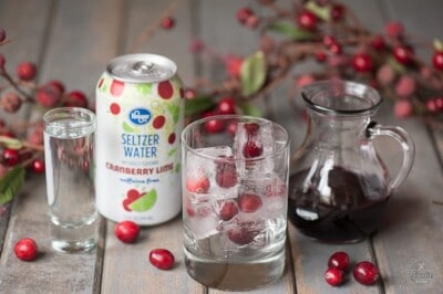 Cranberry Fizz - Self Proclaimed Foodie