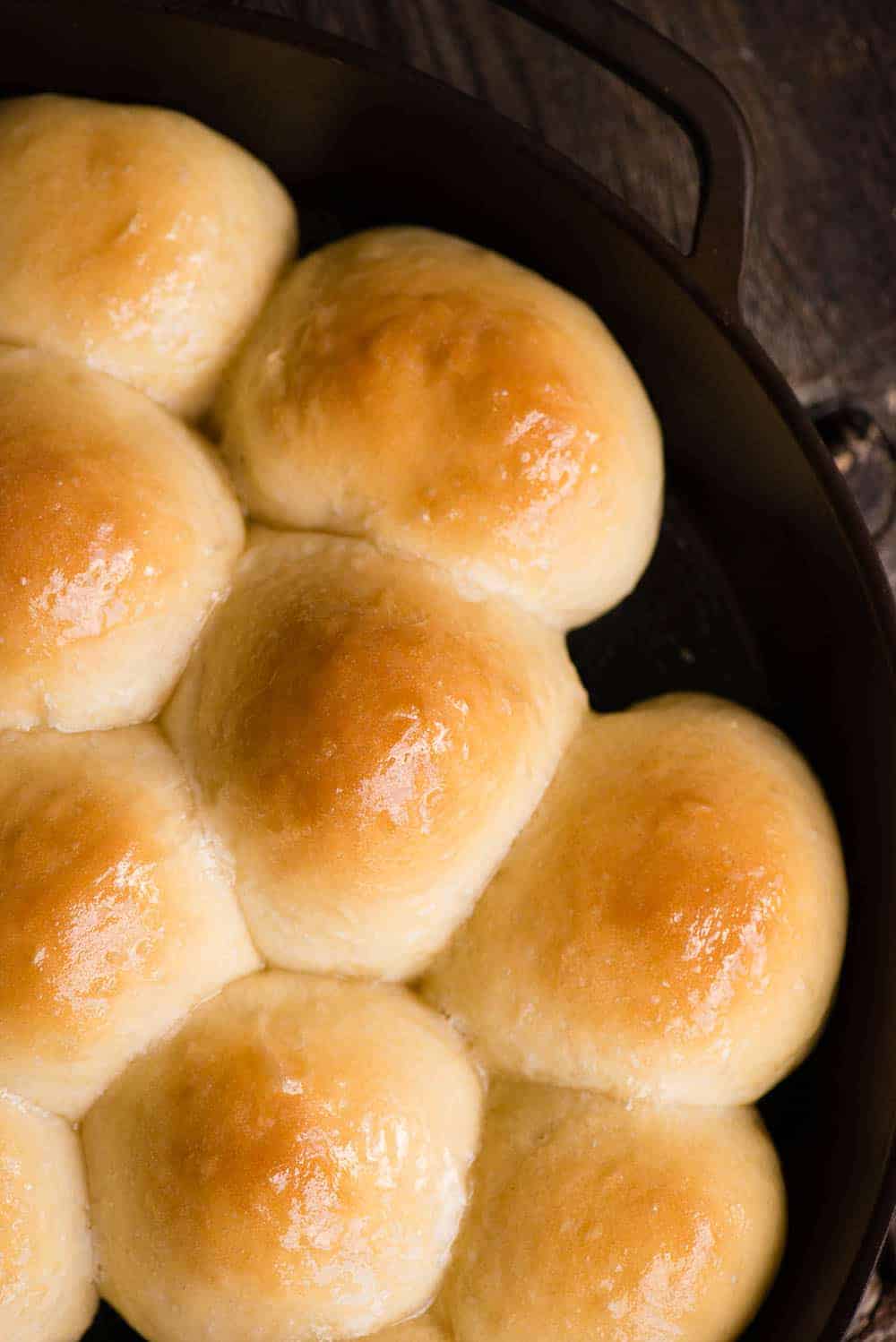 The BEST Homemade Dinner Rolls - Self Proclaimed Foodie