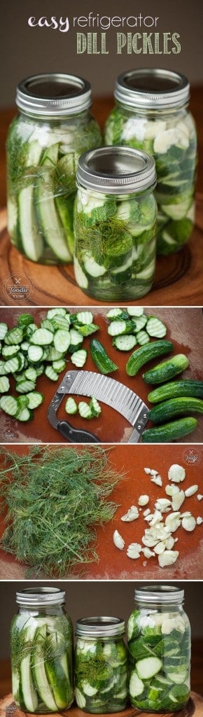 Easy Refrigerator Dill Pickles - Self Proclaimed Foodie Easy Refrigerator Dill Pickles - Self Proclaimed Foodie