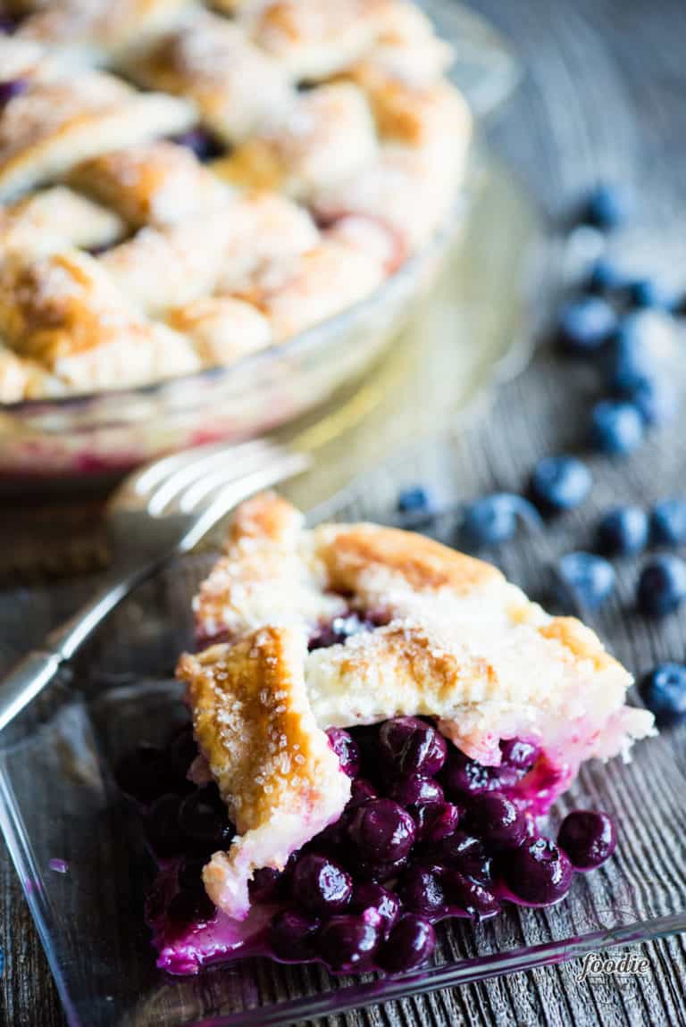 Homemade Fresh Blueberry Pie Recipe - Self Proclaimed Foodie
