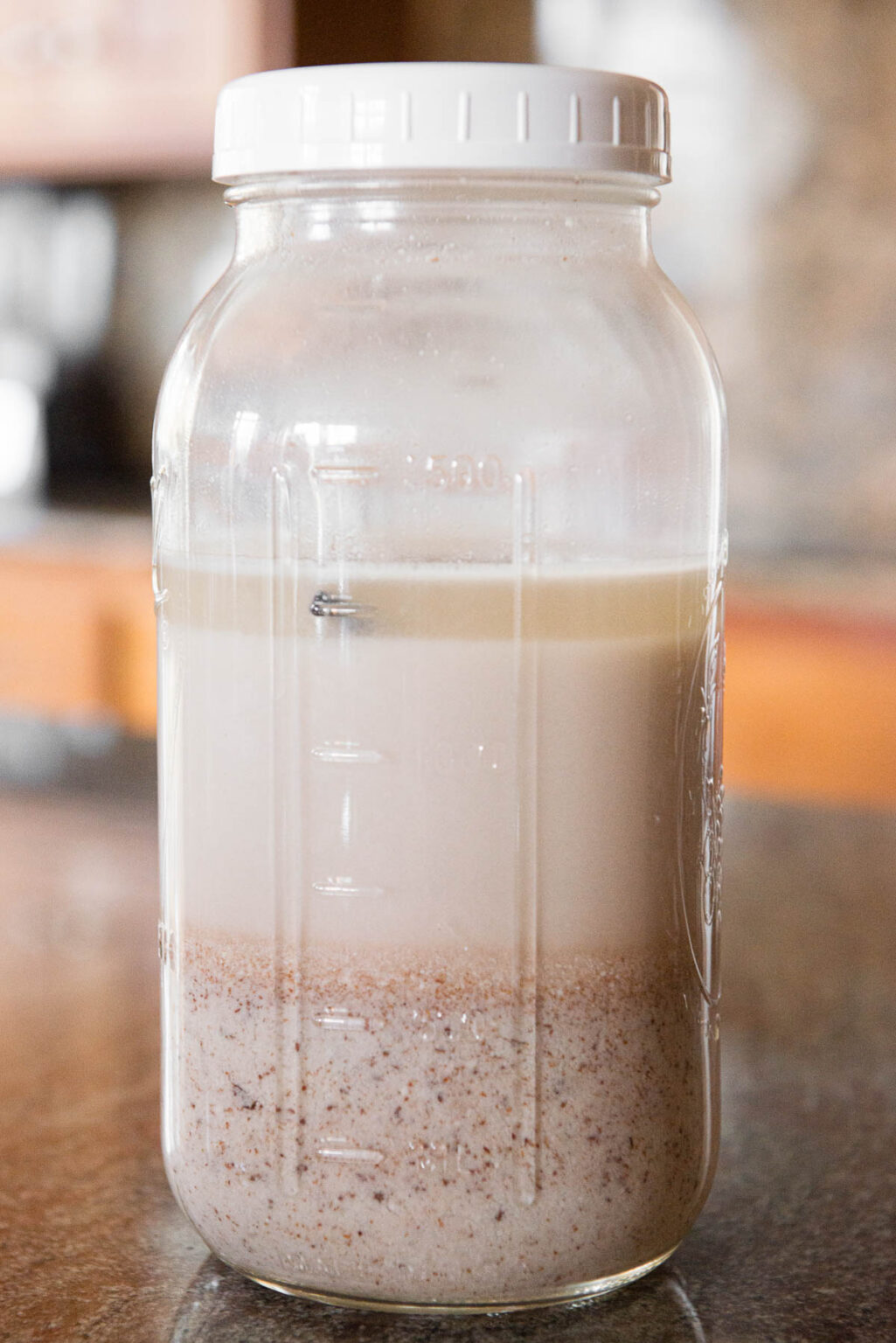 Homemade Horchata Recipe - Self Proclaimed Foodie