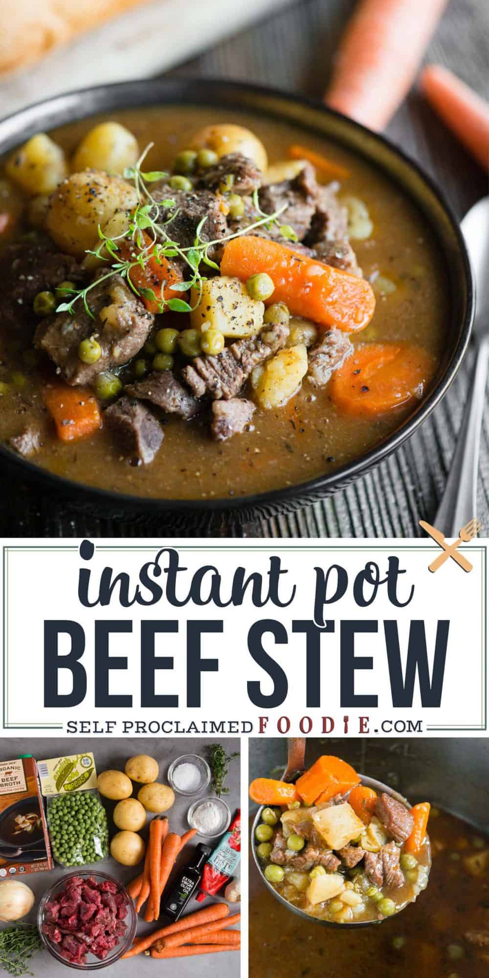 Instant Pot Beef Stew - Self Proclaimed Foodie