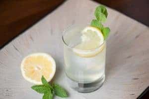 Summer Vodka Fizz - Self Proclaimed Foodie