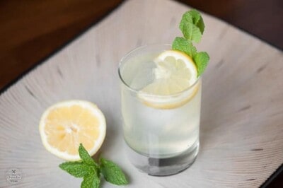 Summer Vodka Fizz - Self Proclaimed Foodie