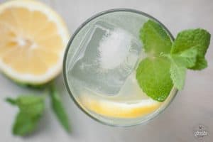 Summer Vodka Fizz - Self Proclaimed Foodie