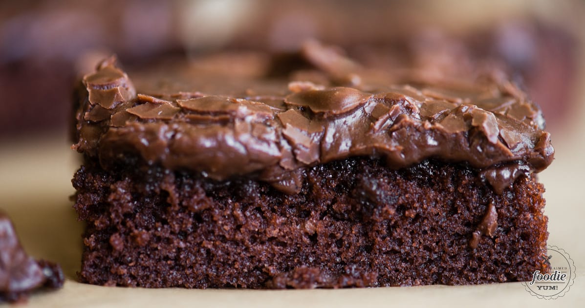 Chocolate Texas Sheet Cake Recipe | Self Proclaimed Foodie